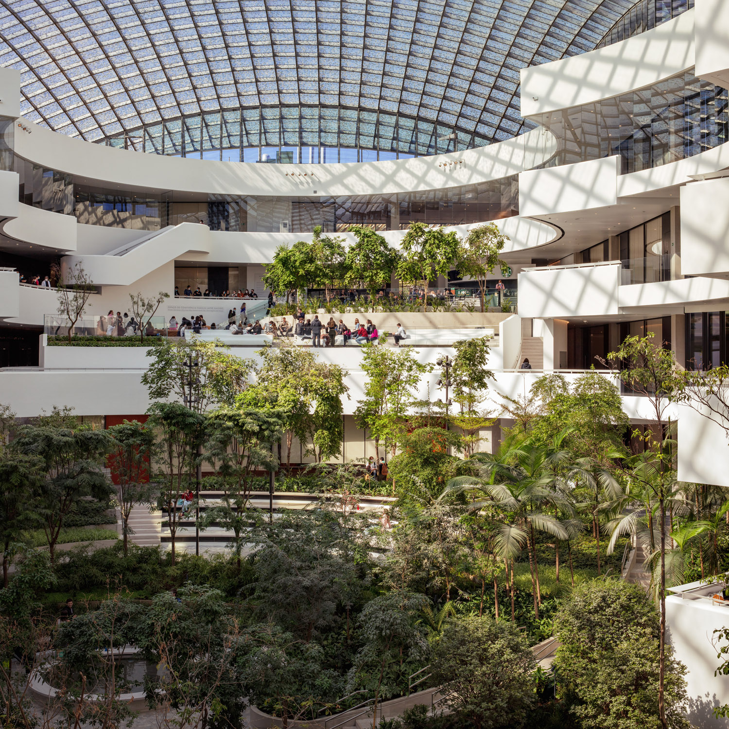 Albert Einstein Education and Research Center | Nelson Kon